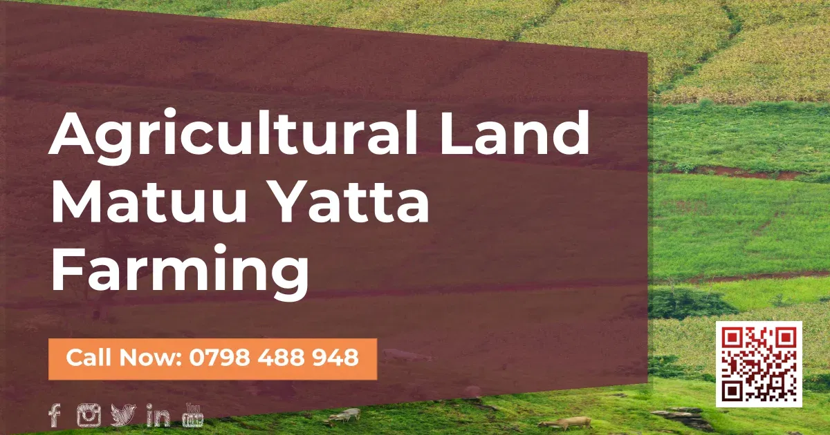 Agricultural Land for Sale in Matuu, Yatta | 2025 Prices