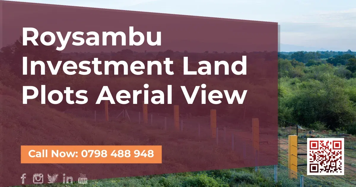 Investment Land for Sale in Roysambu, Nairobi 2025 | Prime Plots
