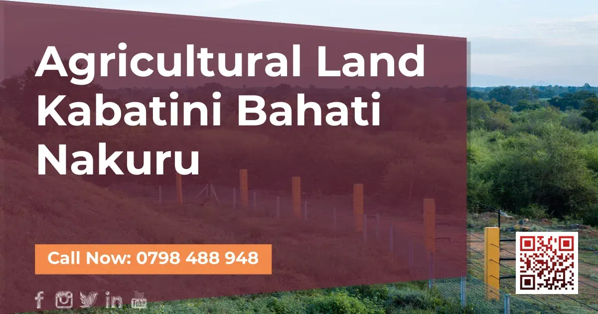 Agricultural Land for Sale in Kabatini, Nakuru | 2025 Prices